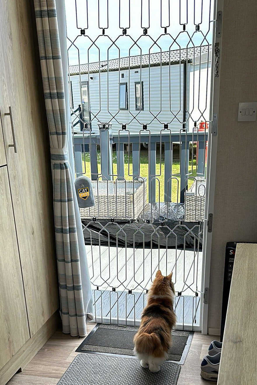 A Full Height Cat Gate – Cat-G8
