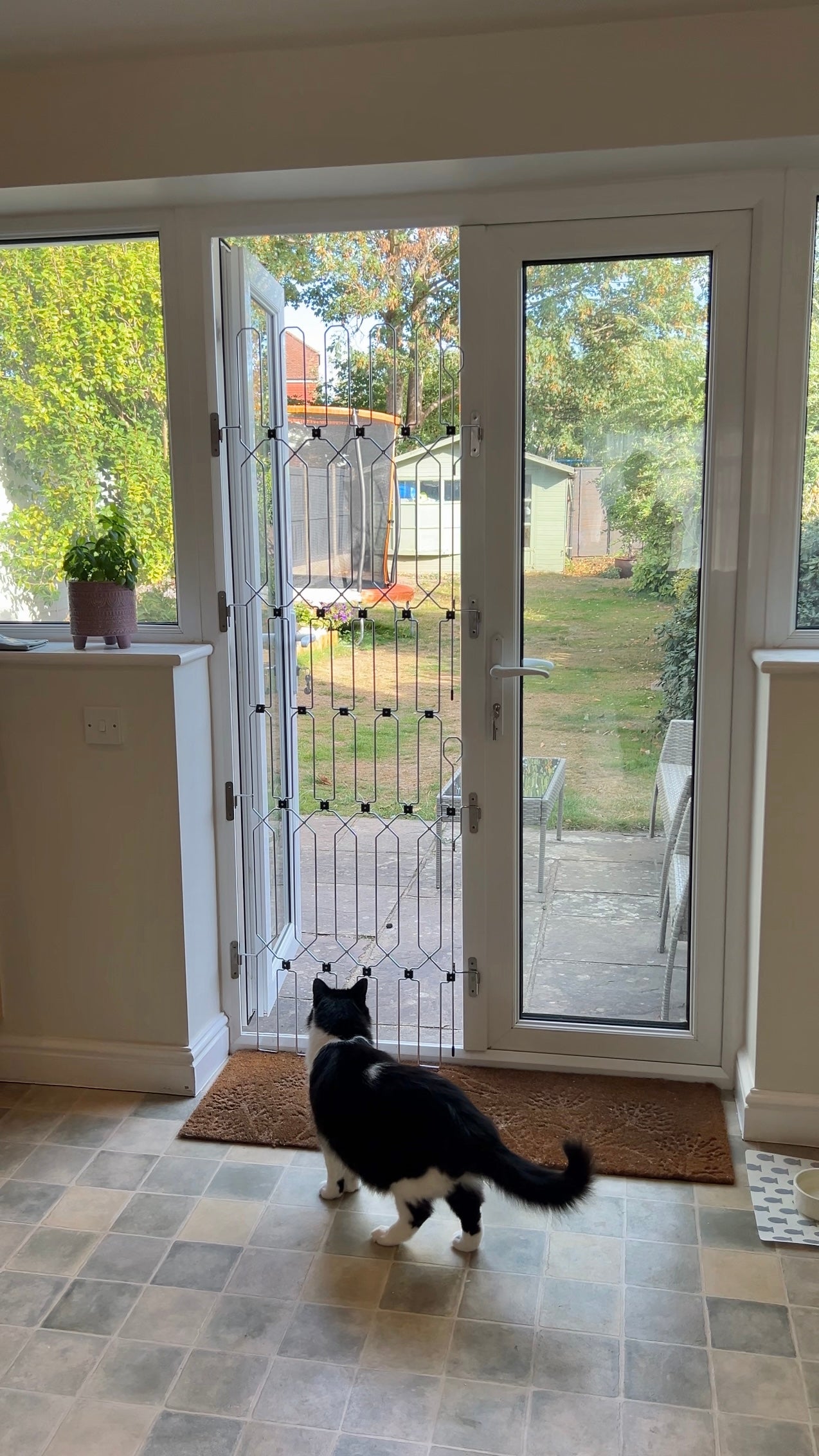 A Full Height Cat Gate – Cat-G8