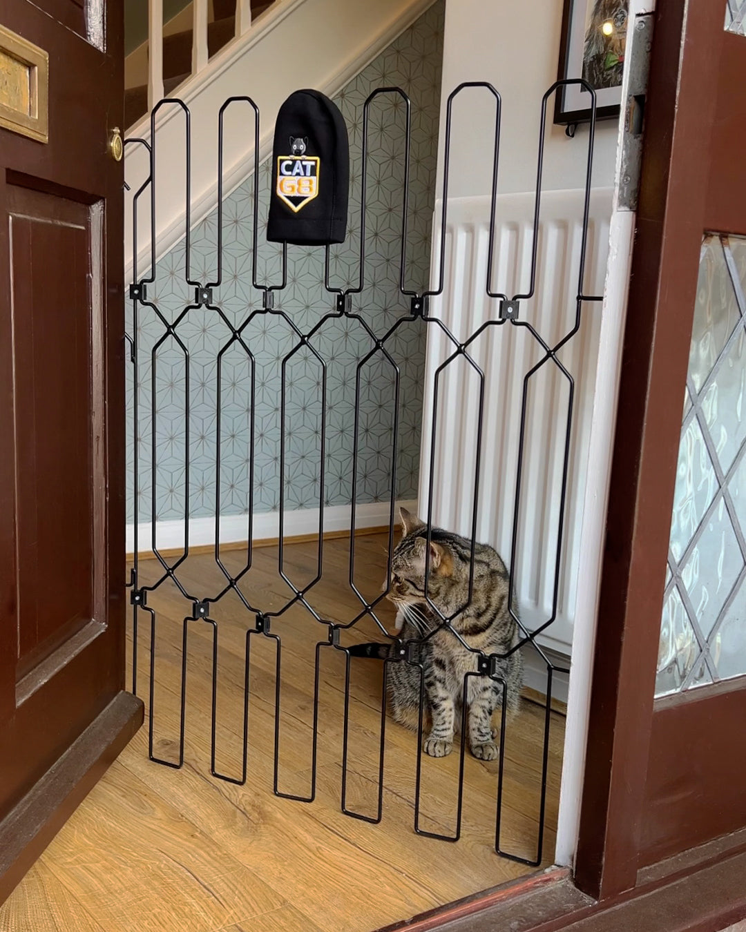 British-made Cat Safety Gates for Front Doors – Cat-G8