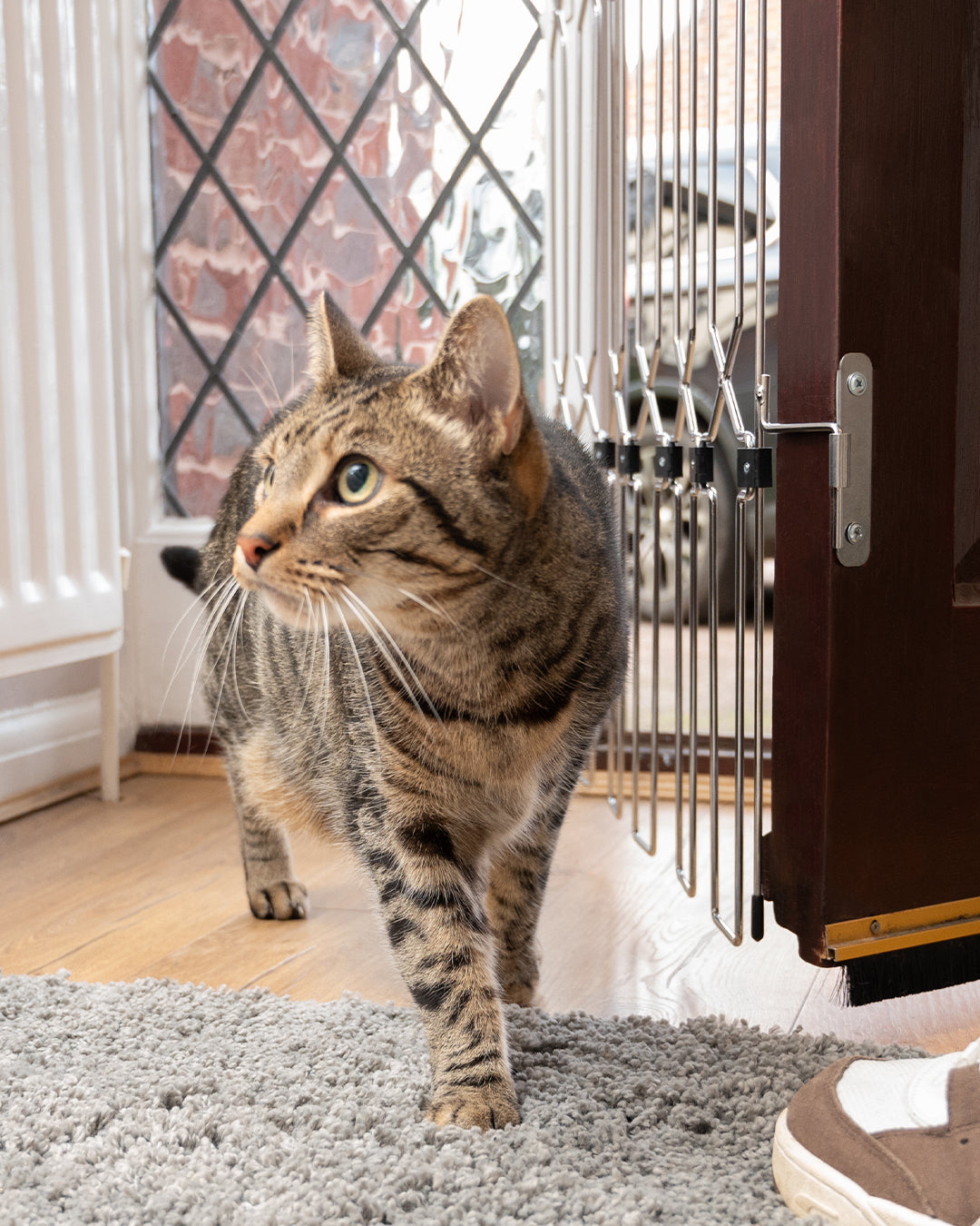 British-made Cat Safety Gates for Front Doors – Cat-G8