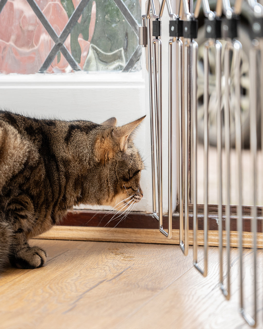 British-made Cat Safety Gates for Front Doors – Cat-G8